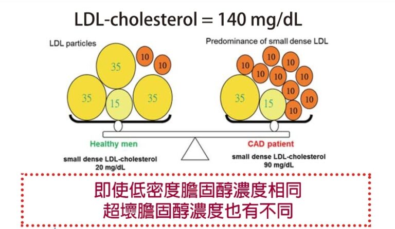 【檢查新訊】緻密低密度脂蛋白膽固醇 (超壞膽固醇 sdLDL)」 | 永越健康管理中心